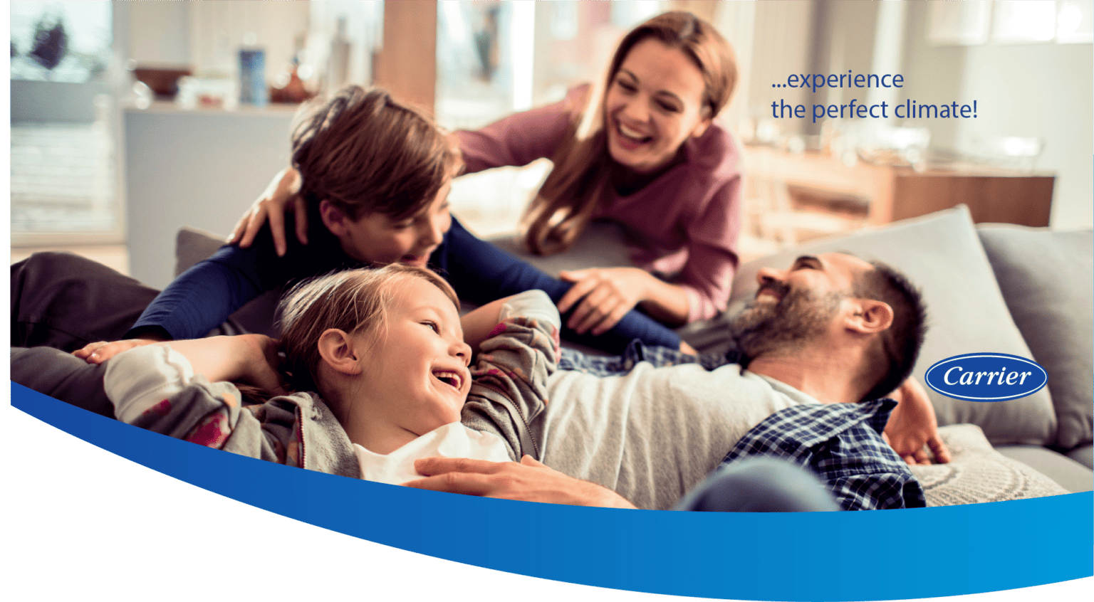 Carrier - Reliance Ventilation Systems